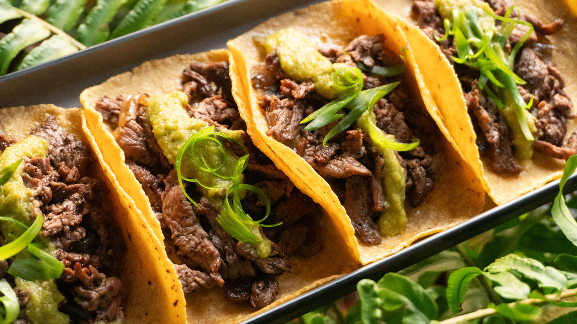 Tacos La Neta – Grupo Maito