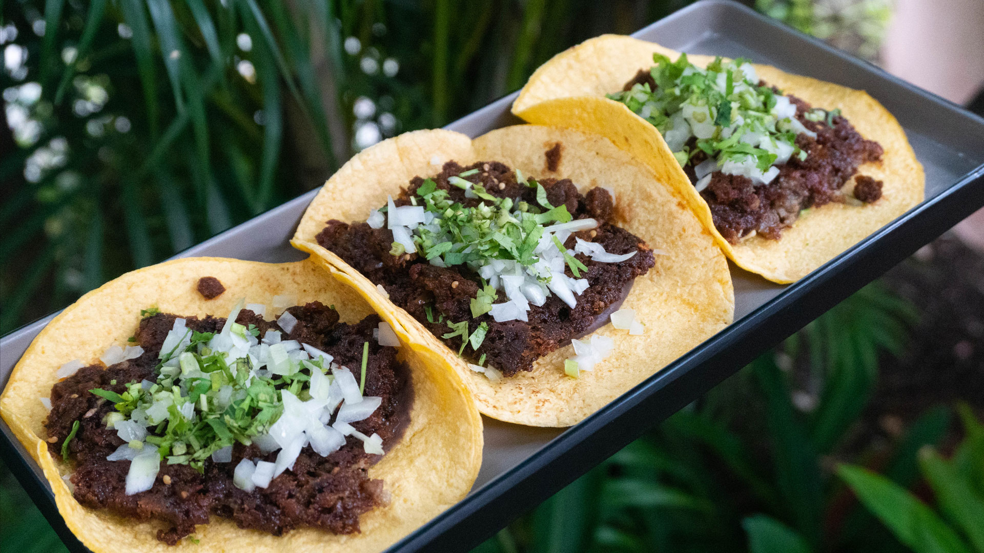 Tacos La Neta – Grupo Maito